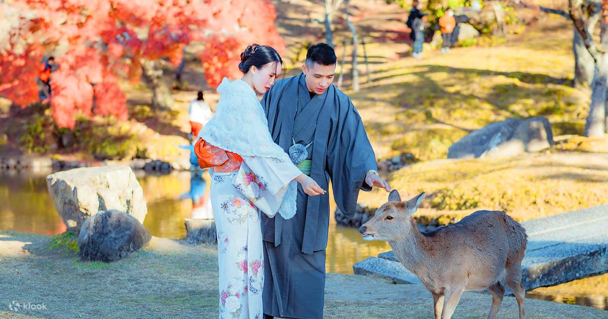 Full-Day Cultural Heritage Tour of Nara and Uji - Klook