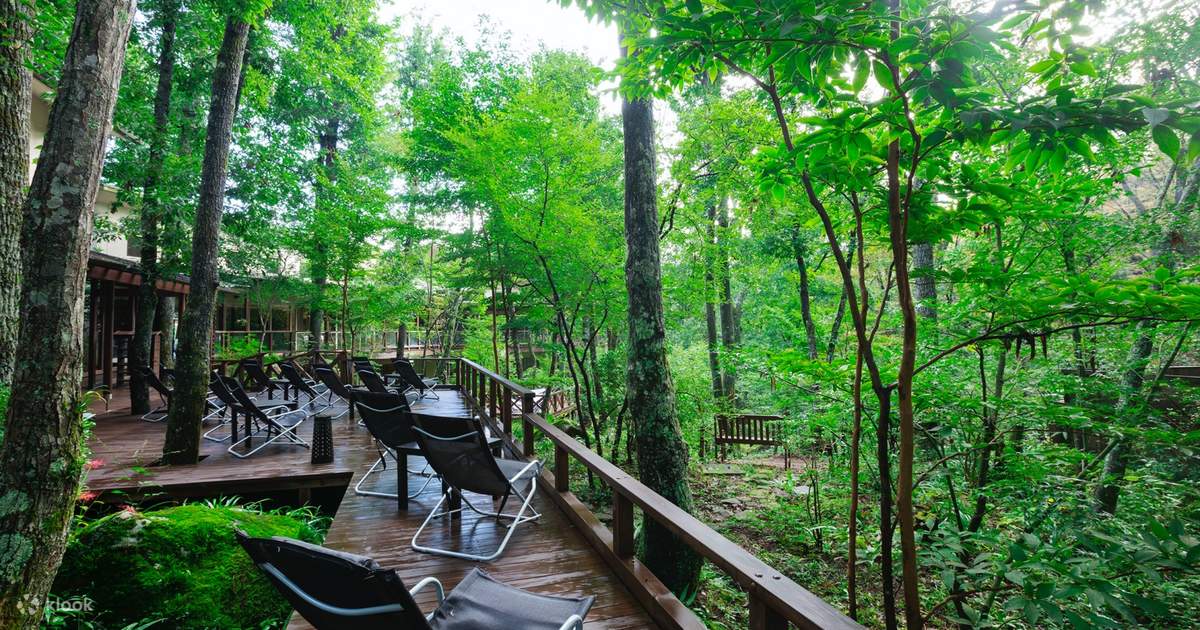 Only Yu Hot Spring Resort Onsen Experience ni Kanagawa - Klook United ...