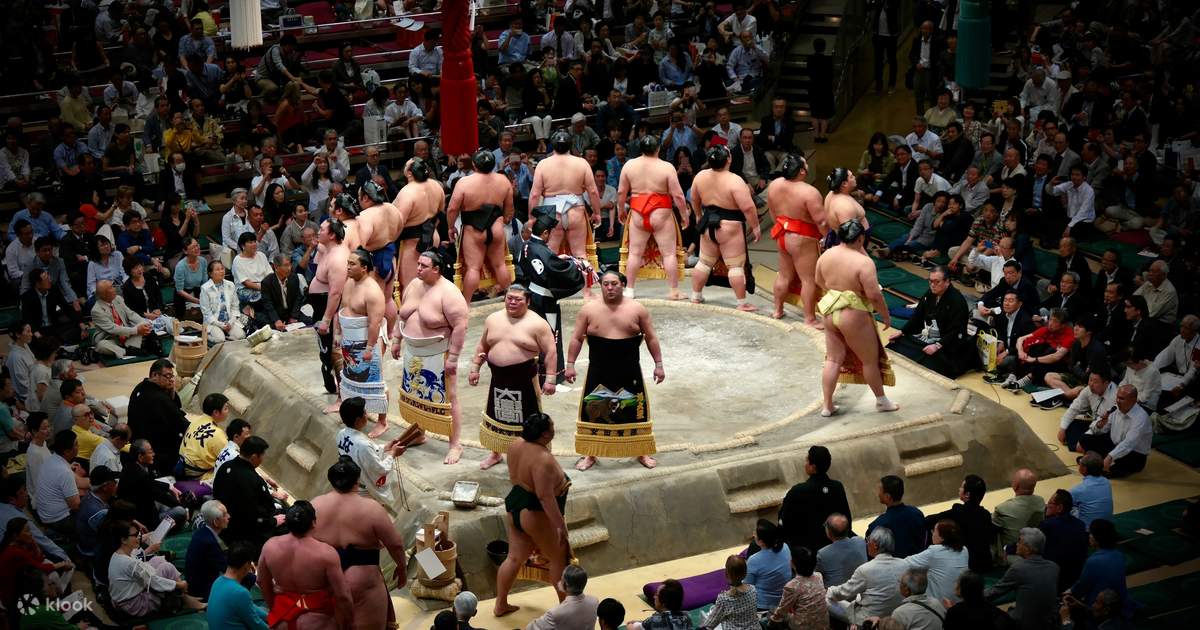 Trải Nghiệm Xem Sumo Tập Luyện ở Tokyo - Klook Việt Nam