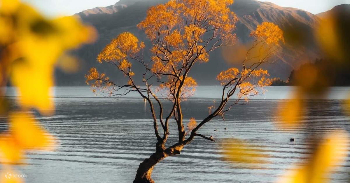 Queenstown Full-Day 8 Top Spots Small Group Discovery Tour - Klook