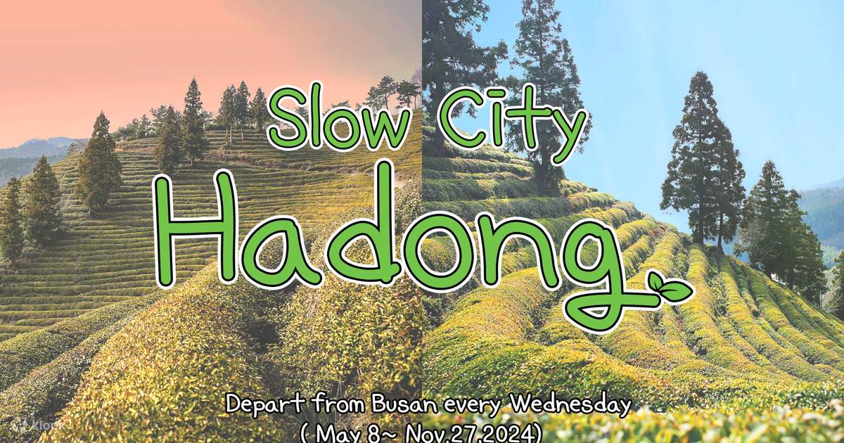 Hadong City One Day Bus Tour From Busan - Klook