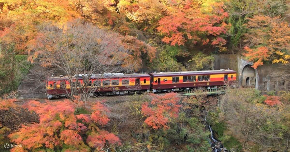 Watarase Keikoku Railway & Takatsudo Gorge & Ashikaga Flower Park ...