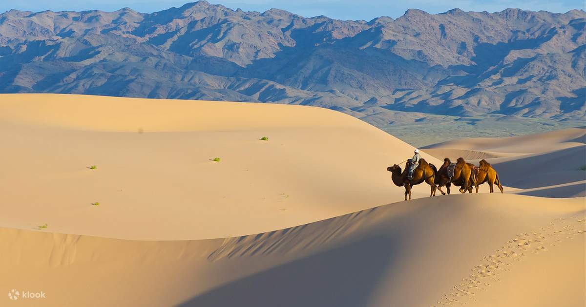 Gobi Desert Tour 8 Hari 7 Malam di South Mongolia - Klook Indonesia