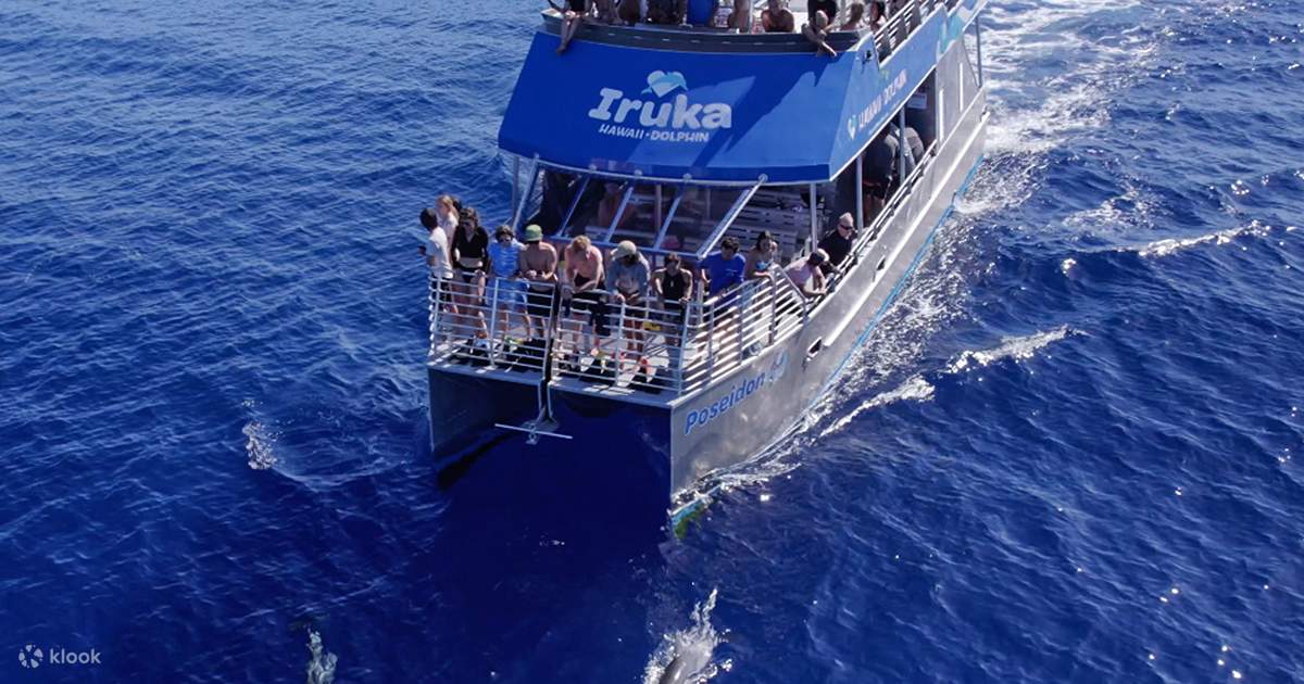Dolphin Watching and Snorkel with Water Activities in Oahu - Klook ...