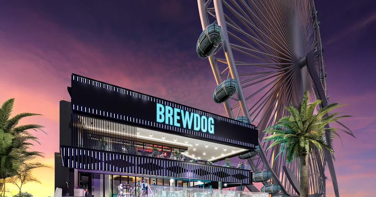 Beer Flight Tasting Experience with Meal at BrewDog Dubai - Klook Malaysia