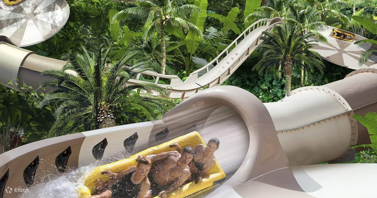 Ticket voor Loro Parque en Siam Park in Tenerife - Klook Verenigde Staten