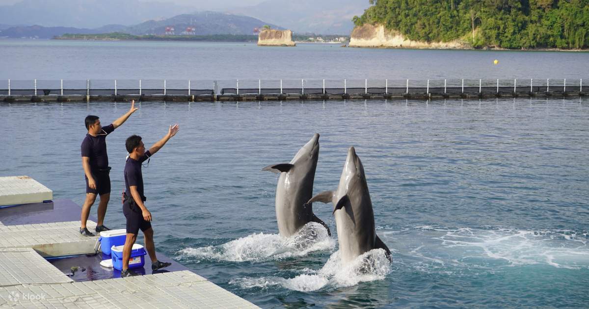 Ocean Adventure Ticket in Subic Bay - Klook Philippines