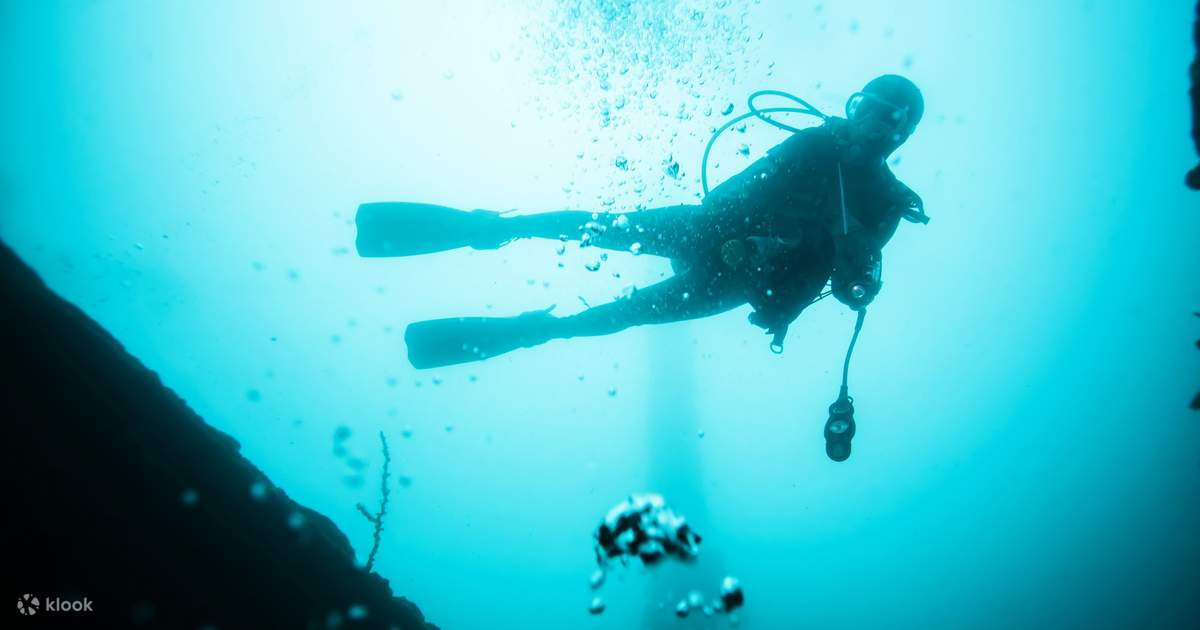 Scuba Diving di Fethiye - Klook Indonesia