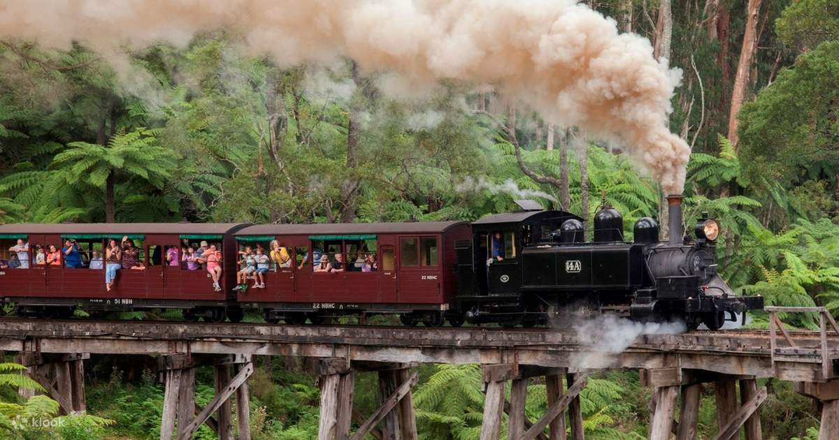 Excursion d'une journée en train à vapeur Puffing Billy et au zoo ...