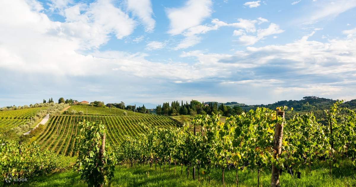 Chianti Delights: Tuscany Wine Private Tour from Florence - Klook ...