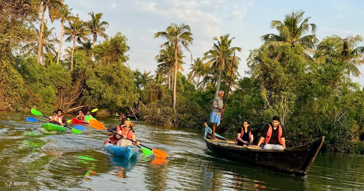 Varkala: Mangrove Kayaking and Sunset Backwater Tour - Klook Singapore