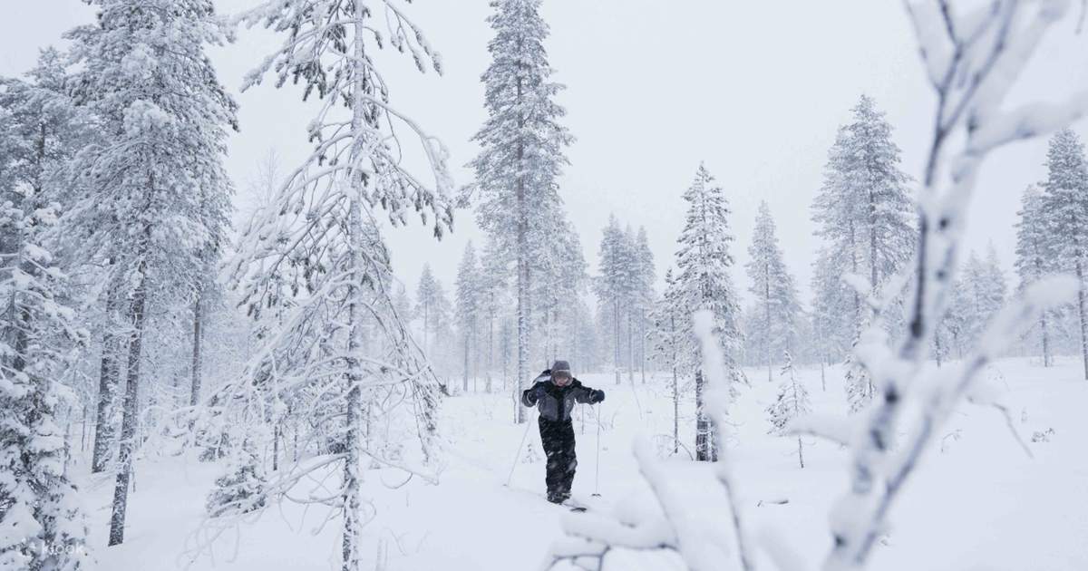 Backcountry half-day skiing and photography tour in Levi - Klook Canada