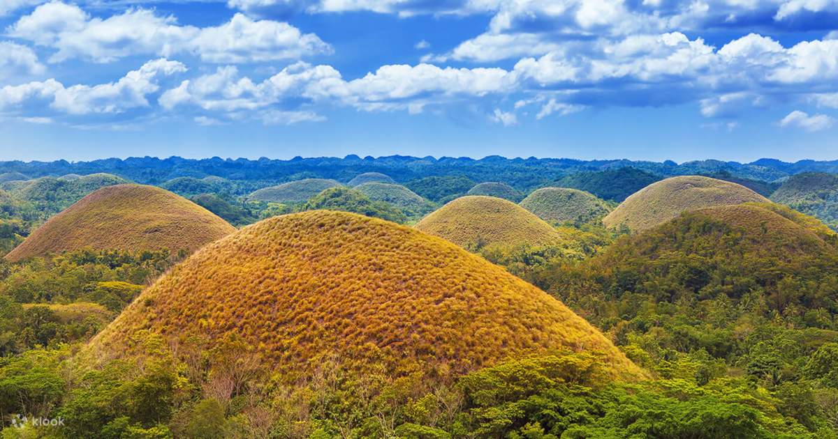 Bohol Countryside Day Tour All In Package - Explore the Best of Bohol ...
