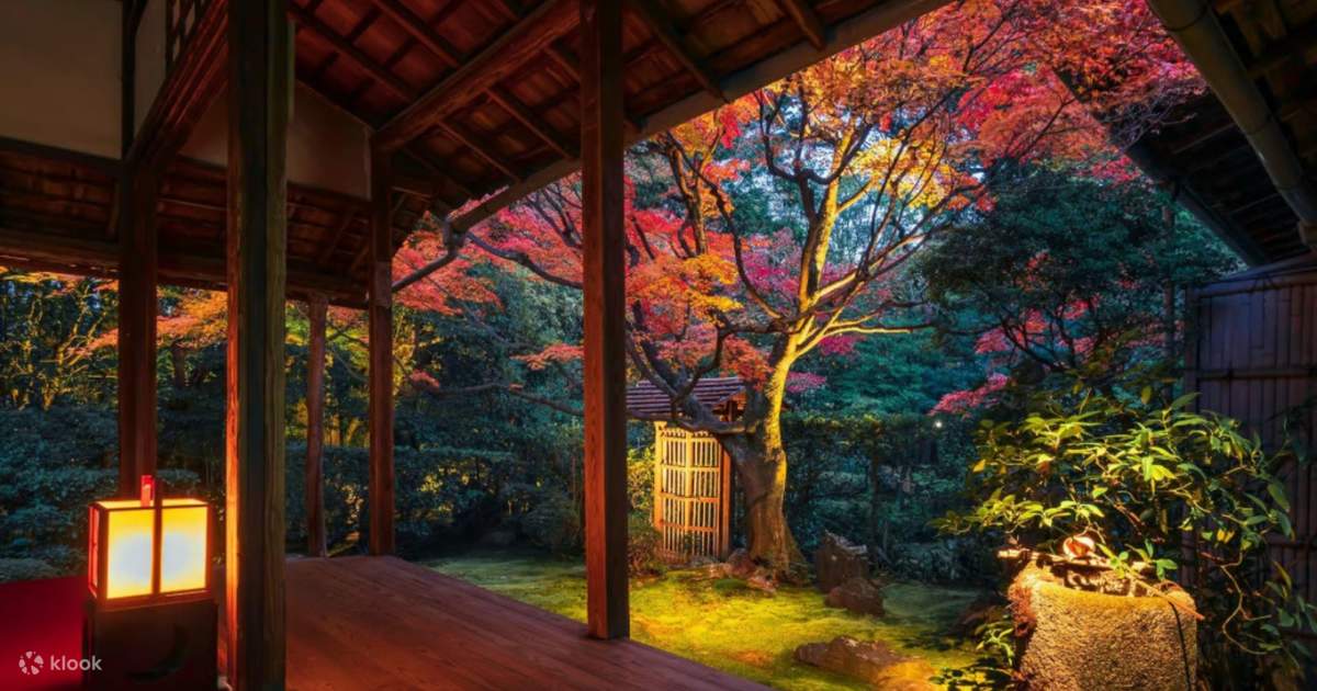 Kyoto: Nighttime Zen Meditation & Matcha Tea Experience in Myoshinji ...