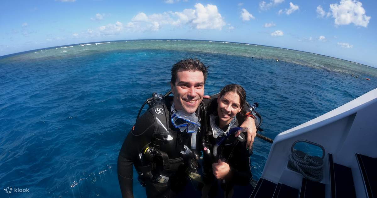 Explore the Depths with PADI Discover Scuba Diving in Stunning Port ...