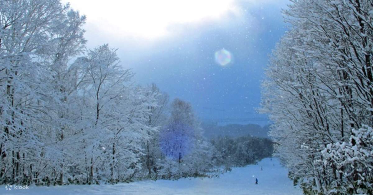 ทัวร์สกีไปเช้าเย็นกลับที่ Pippu Ski เพลิดเพลินกับผงหิมะทางเหนือสุด ...