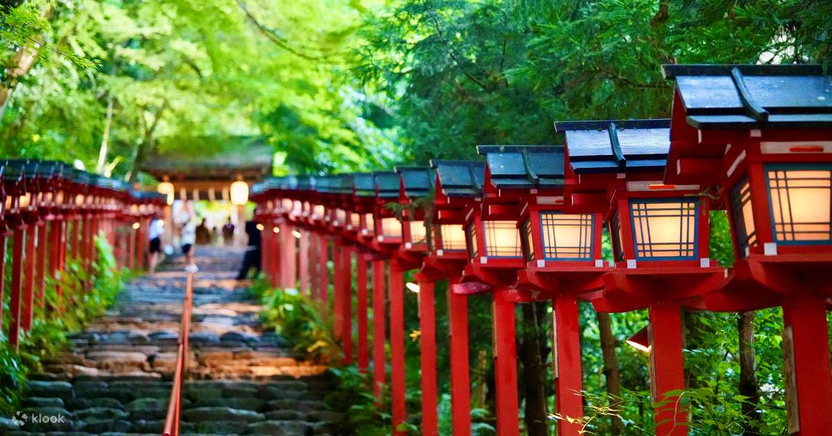 Kyoto: Tour di un giorno alla Foresta di Bamboo di Arashiyama, al ...