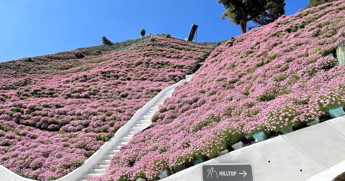 Flora Park Ticket in Cameron Highlands - Klook