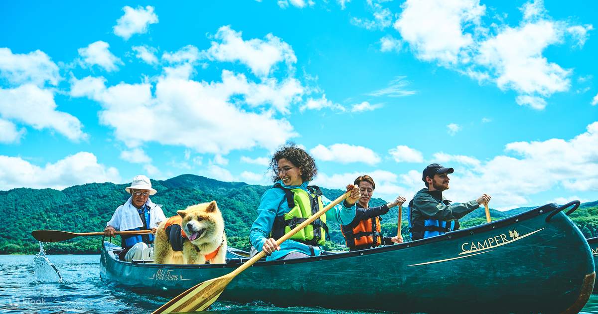 Unleash Adventure: Explore with Akita Dogs | Premier Tours at Akita ...
