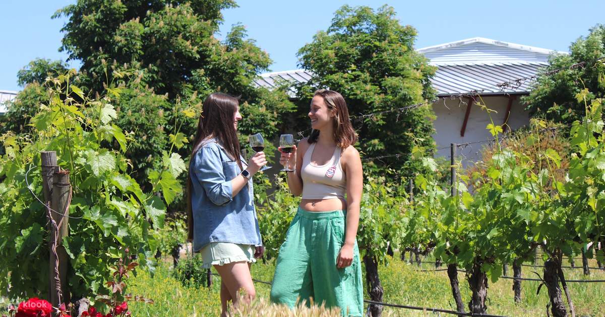 Santa Rita Vineyard Tour with Lunch, an Unforgettable Day! - Klook Malaysia