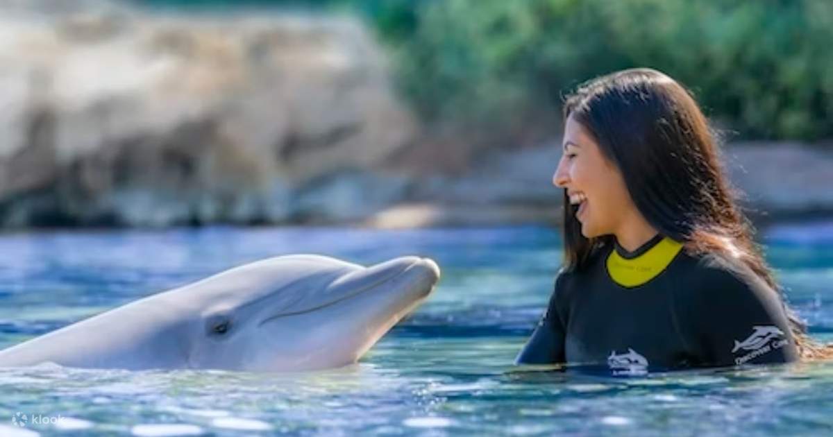 Discovery Cove Ticket in Orlando - Klook