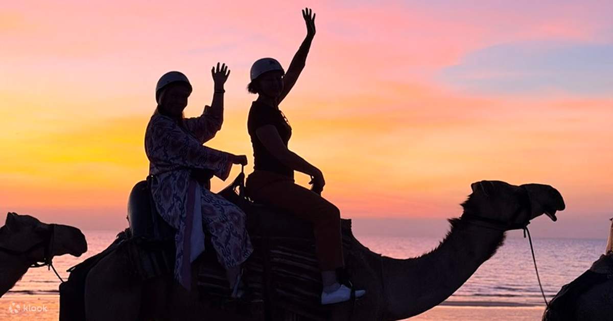 Mindil Beach Camel Ride Experience in Darwin - Klook