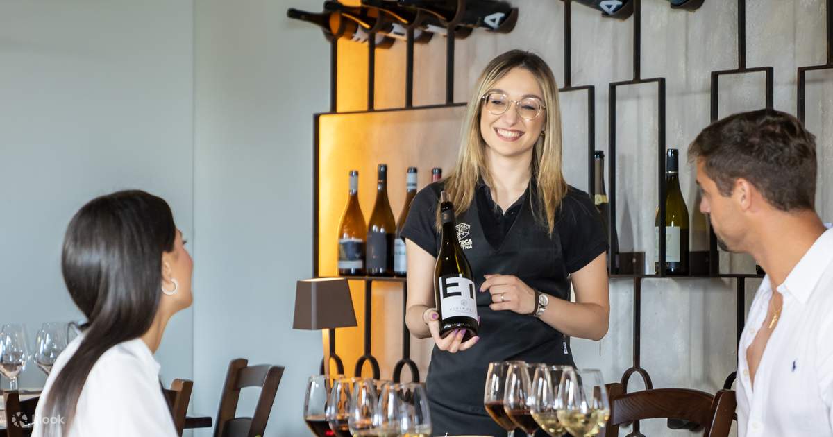 Catania Mount Etna Full-Day Volcano & Winery Experience - Klook