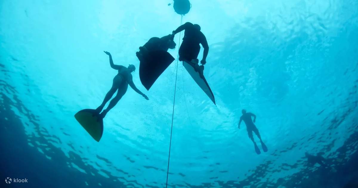 Experience Elite Freediving in Kota Kinabalu with PADI Master Course ...