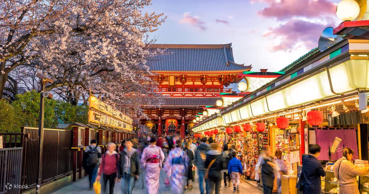 Asakusa, Kappabashi, and Ueno Walking Tour: Experience Tokyo's History ...