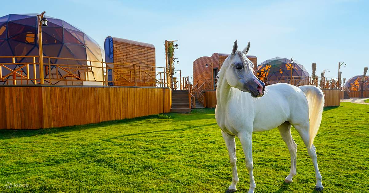 Al Marmoom Domes Desert Glamping & Dining experience in Dubai - Klook ...