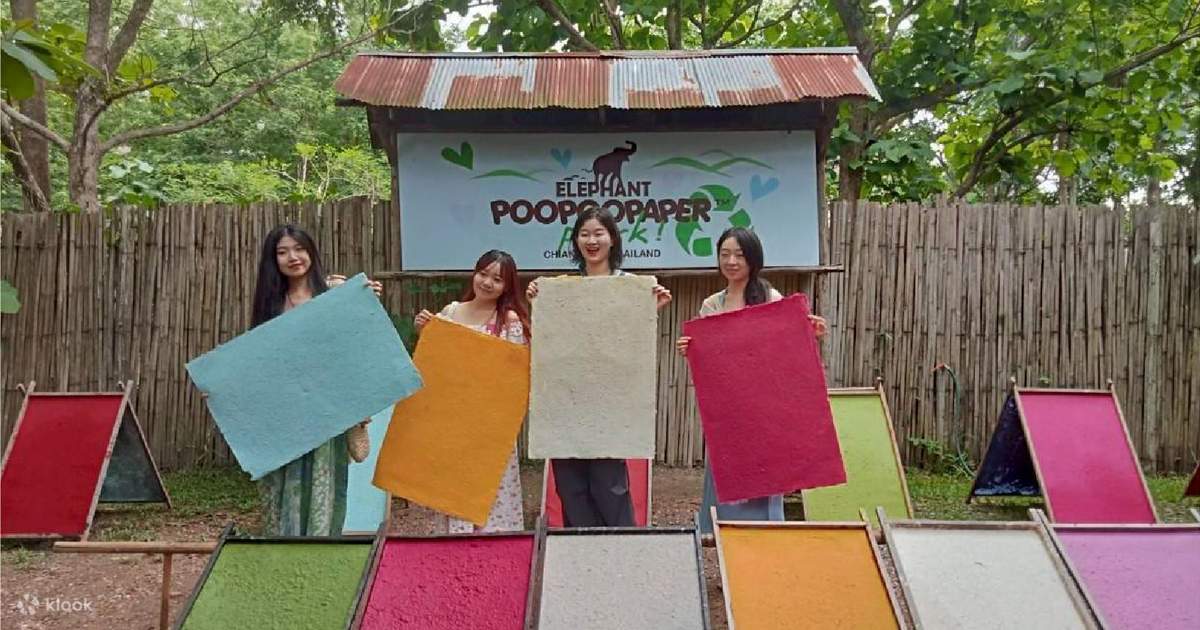 Elephant POOPOOPAPER Park Ticket in Chiang Mai - Klook Singapore