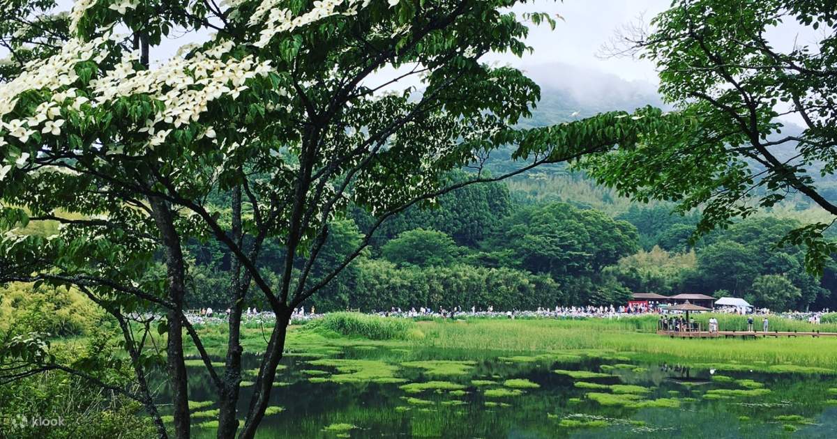 Lawatan Nordic Walking ke Tasik Shidaka dan Tasik Kagurame di Beppu ...