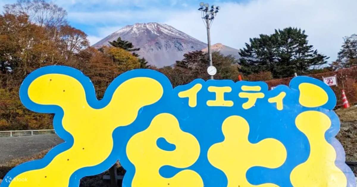 Mt. Fuji Yeti Skiing & "Konohana no Yu" Hot Spring (Mt. Fuji Viewable ...