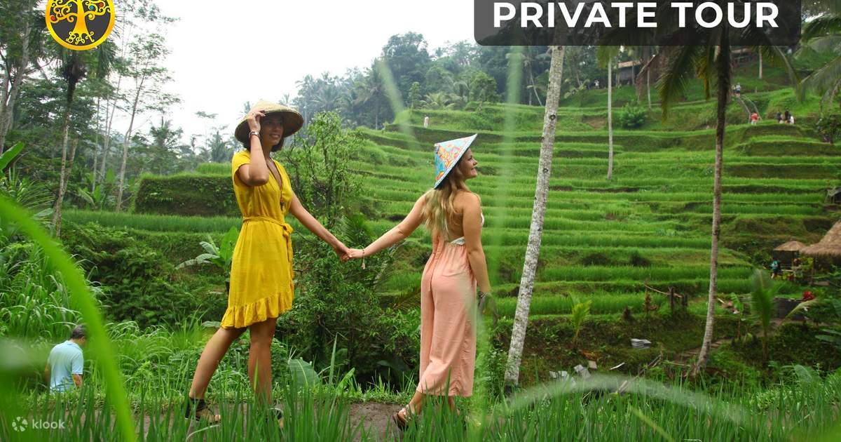 Nature Trip with Flying Fox or Spa Experience in Ubud, Indonesia ...