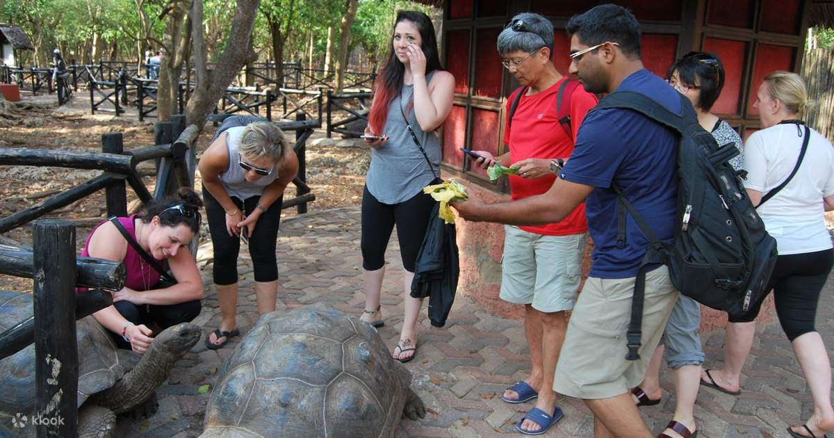 Zanzibar Stone Town & Prison Island Full-Day Tour with Snorkeling ...