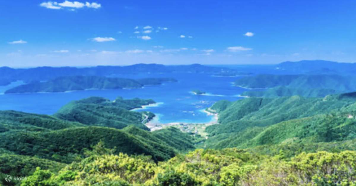 Amami Oshima Island Private Custom Tour with Local Guide - Klook Malaysia