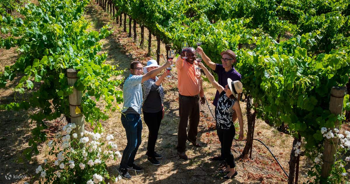 Tour di un giorno da San Francisco: Redwoods e la California Wine ...