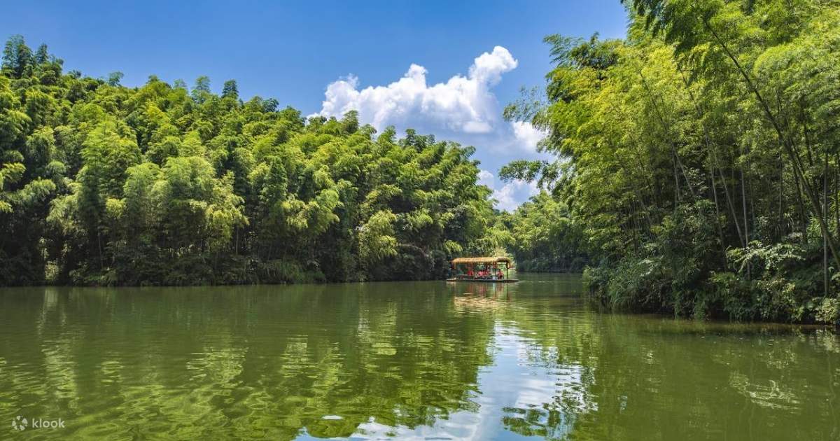 Shunan Bamboo Sea Scenic Area - Klook Singapore