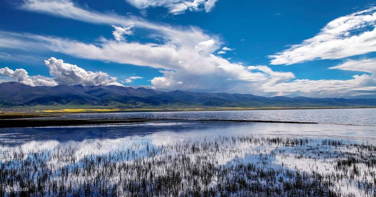 Xining Jin-yin-tan Grassland & Qinghai Lake Private Day Tour - Klook ...