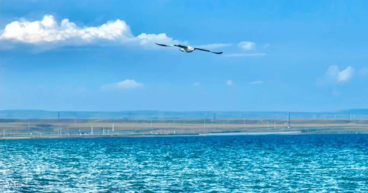 Qinghai Lake, Riyue Mountain, Laji Mountain, and Ta'er Monastery One ...