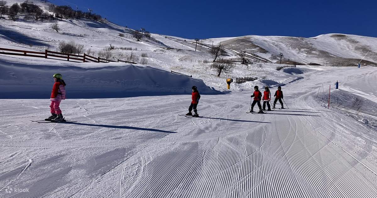 Borjomi & Bakuriani One-Day Ski Route Tour - Klook New Zealand