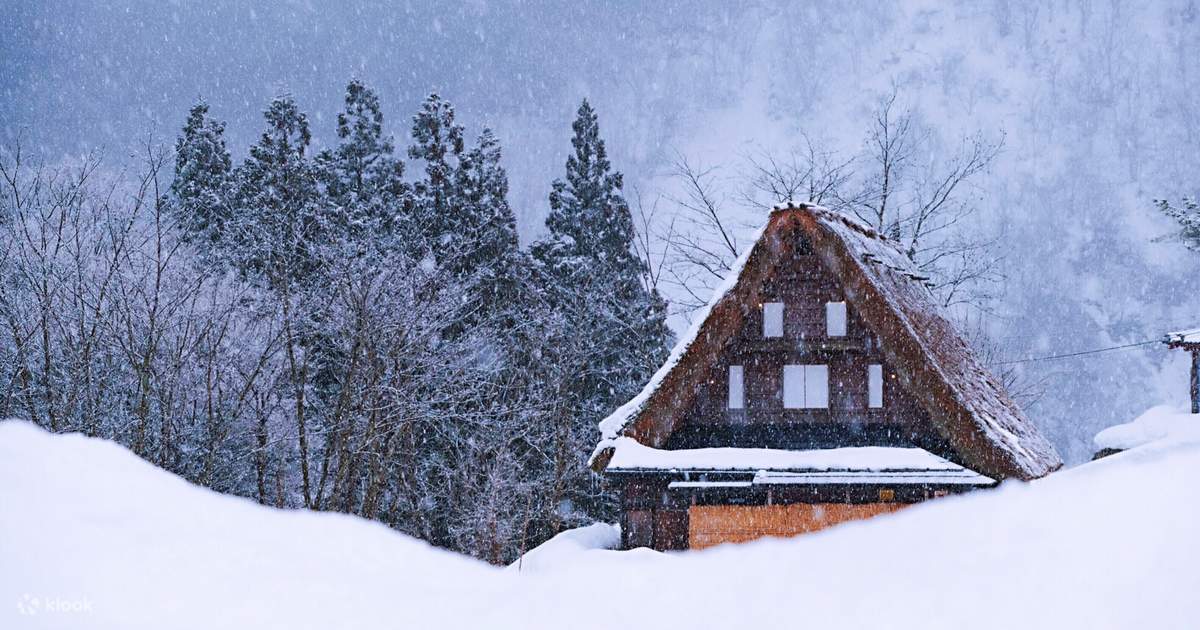 Tour di un giorno intero a Nagoya, Shirakawa-go (Patrimonio Mondiale ...