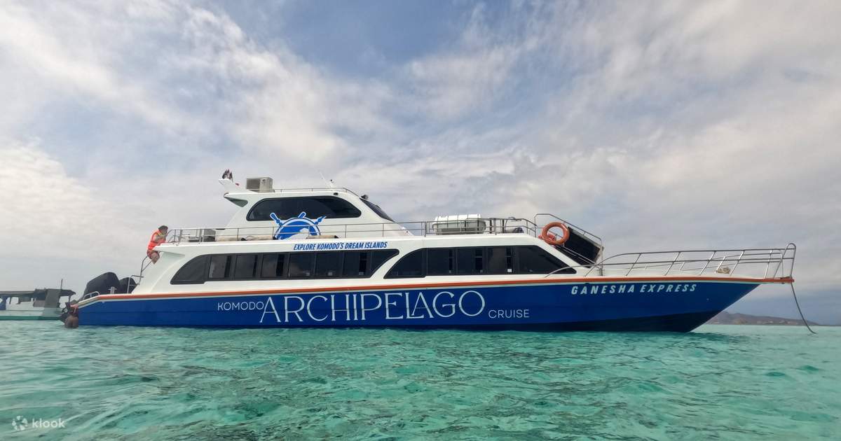 Full Day Speedboat Tour with Free Documentation from Labuan Bajo ...