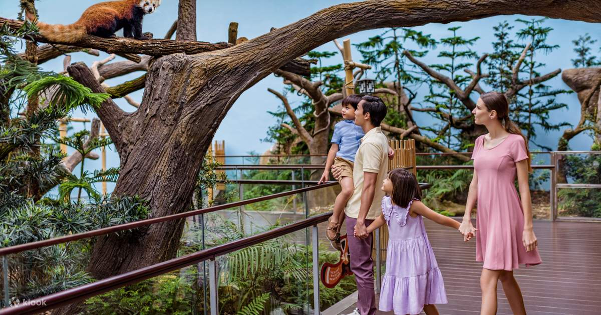 River Wonders Ticket | Mandai Wildlife Reserve, Singapore - Klook