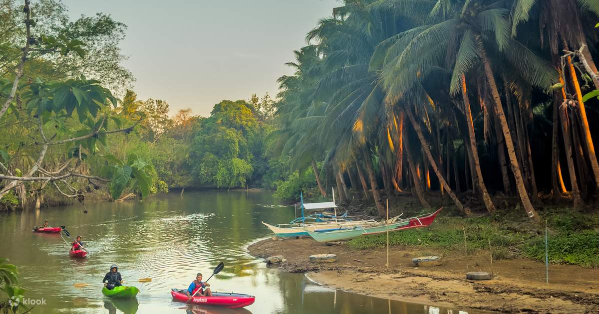 Nature Experience in Palawan: El Nido Mangrove Kayaking Experience ...