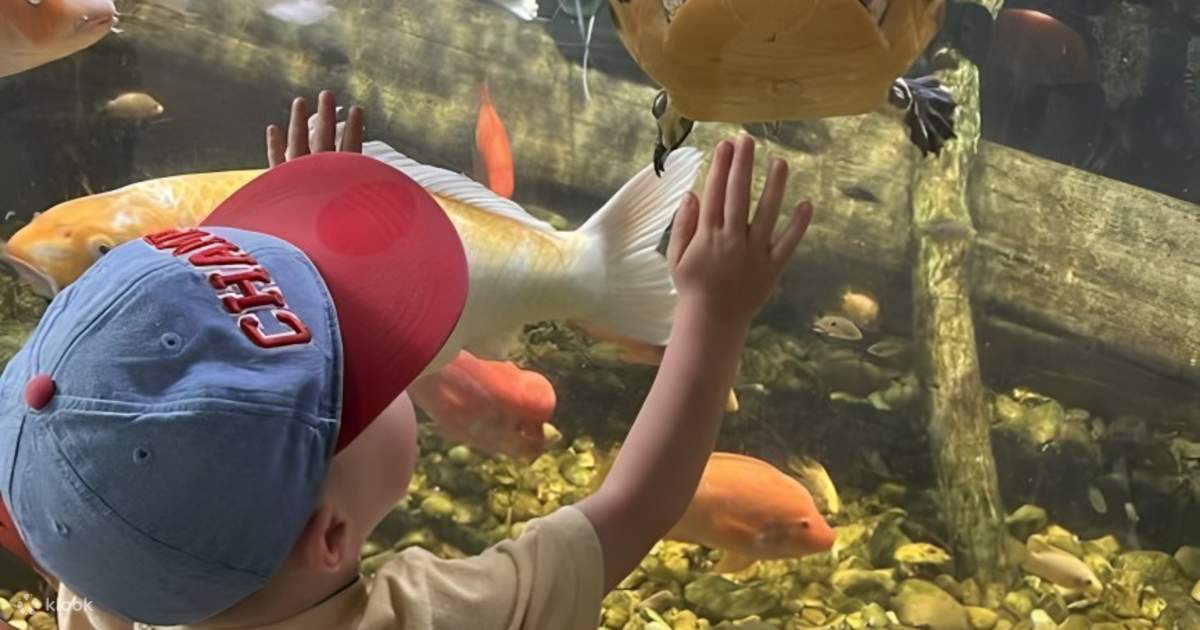 Houston Interactive Aquarium & Animal Preserve Ticket - Klook Philippines