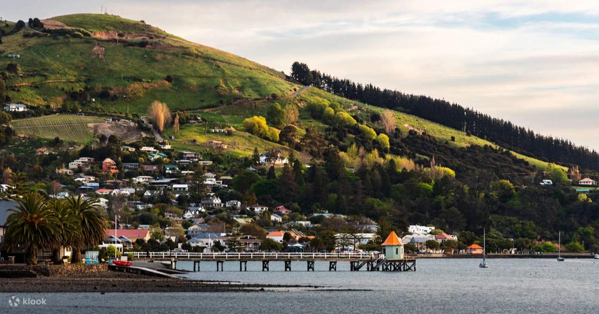 Akaroa Day Tour from Christchurch - Klook Singapore