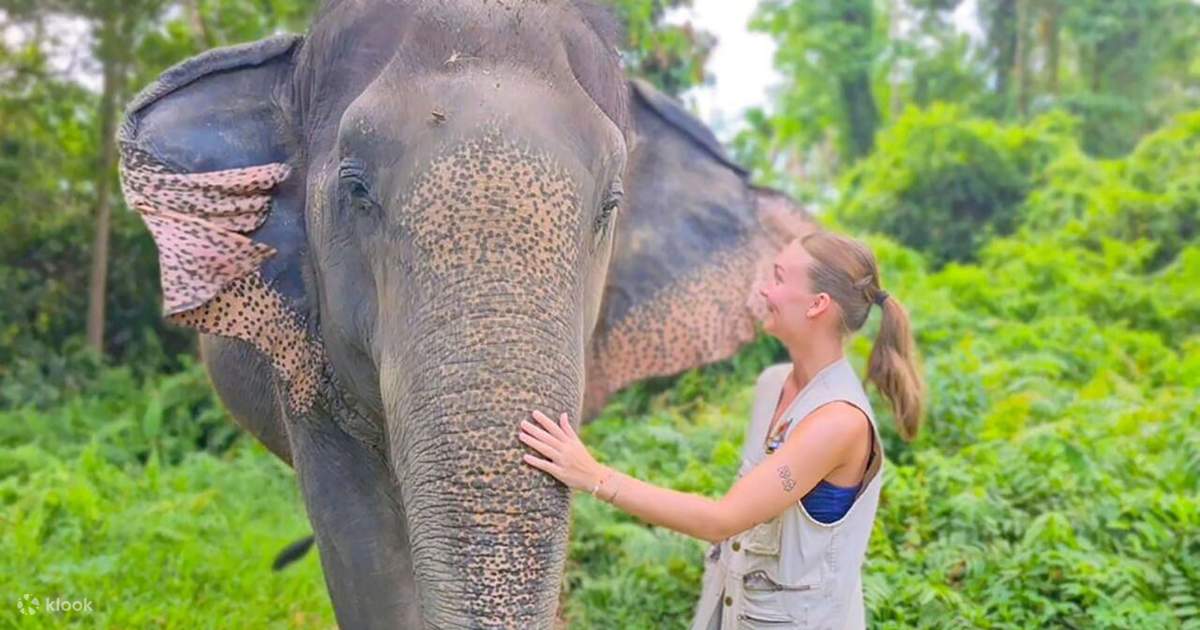 Elephant World Samui Experience - Klook