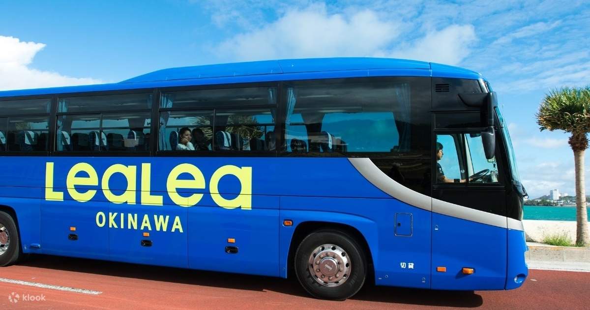 Outlet ASHIBINAA dan Pas Bas Teres Umikaji, Jepun - Klook Amerika Syarikat