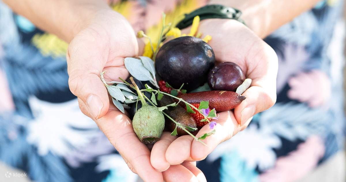 10-Course Lunch & Culture Australian Food Tour - Klook